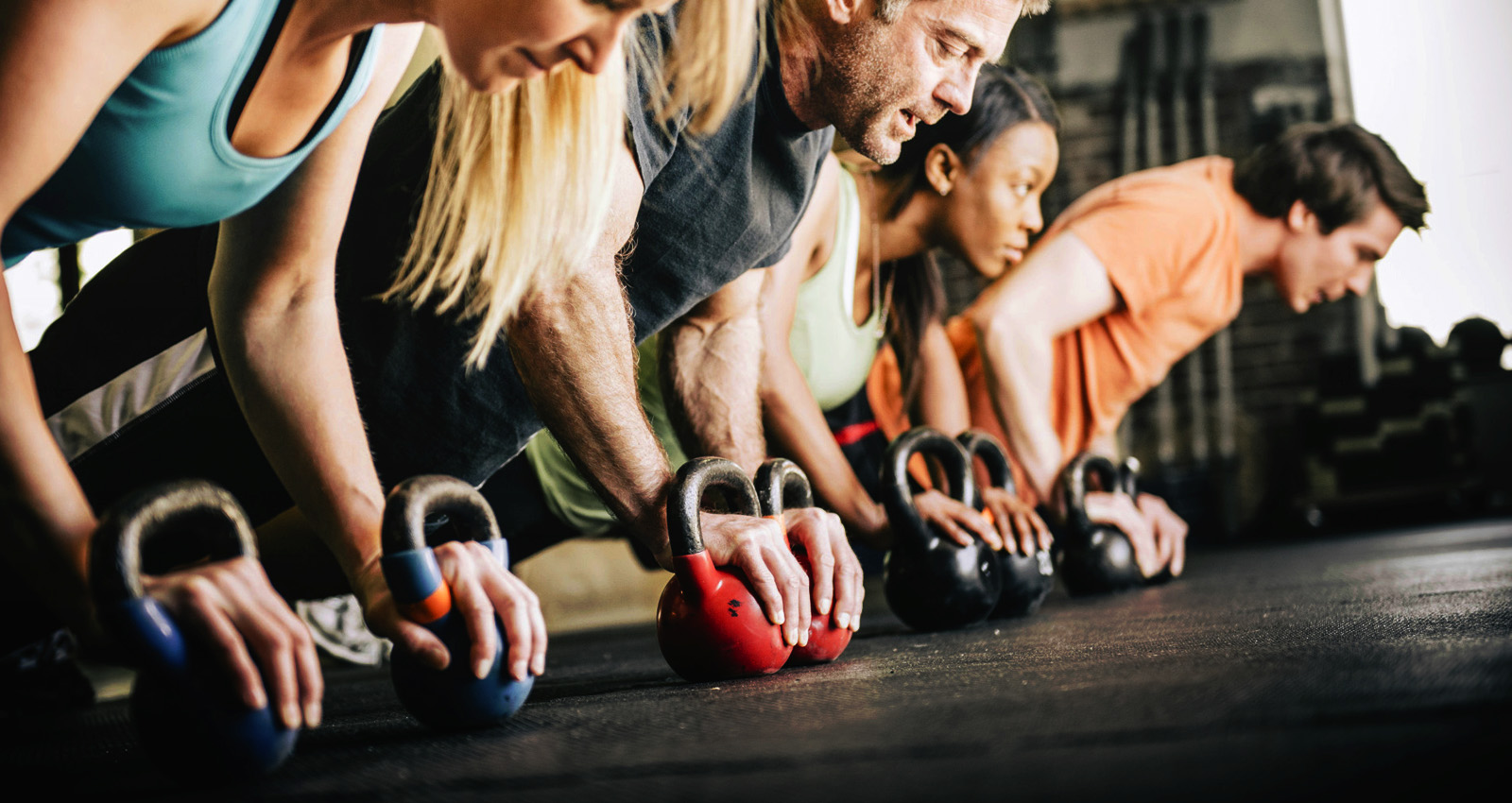 Palestra Body Line - Palestra Jesi